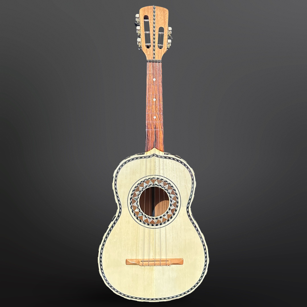 Home – TheVihuelatvStore